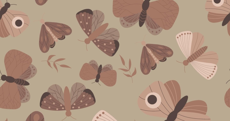Chocolate Butterflies - Seamless pattern vector Royalty-Free French Design